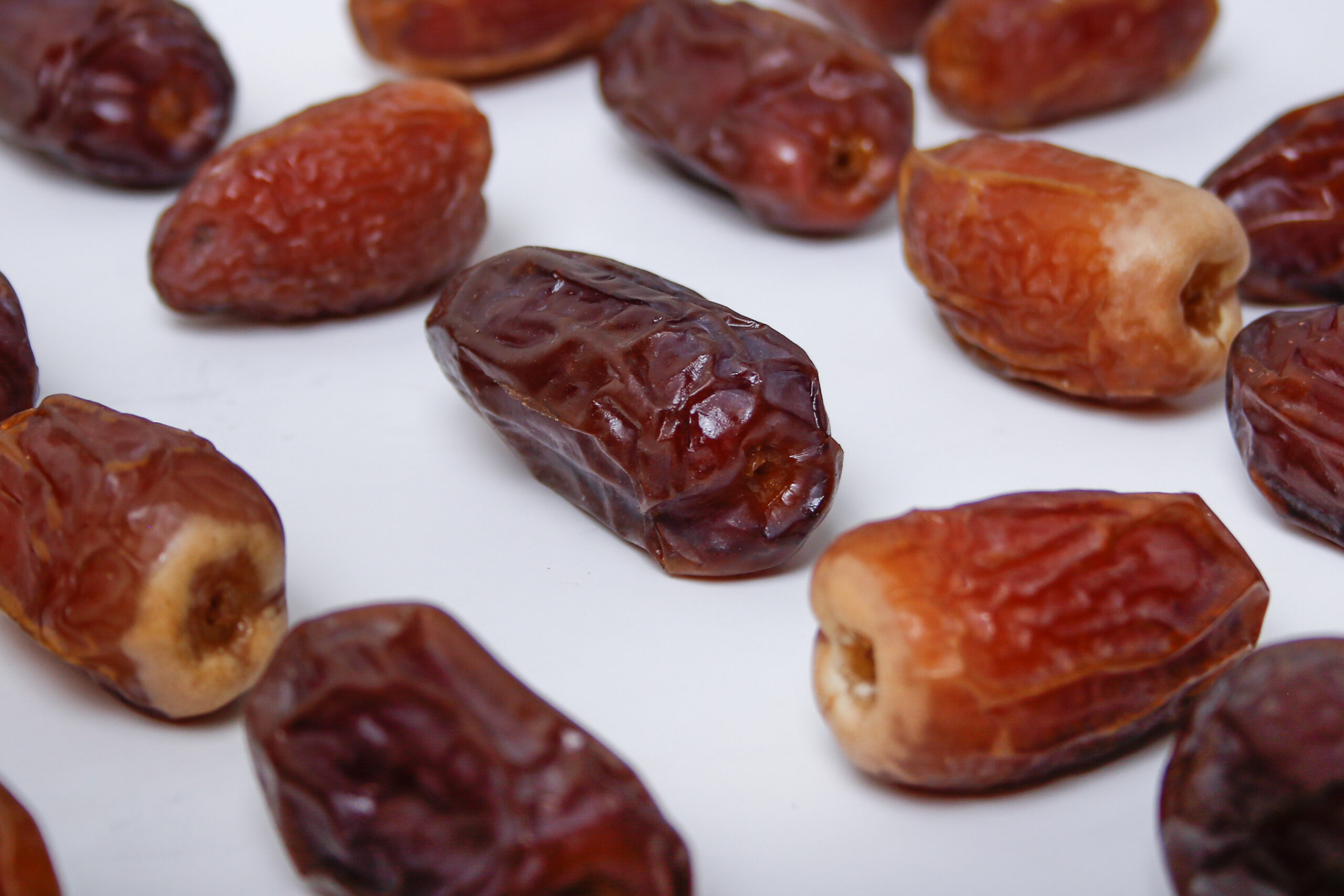 About Us | www.moalrasheed.com